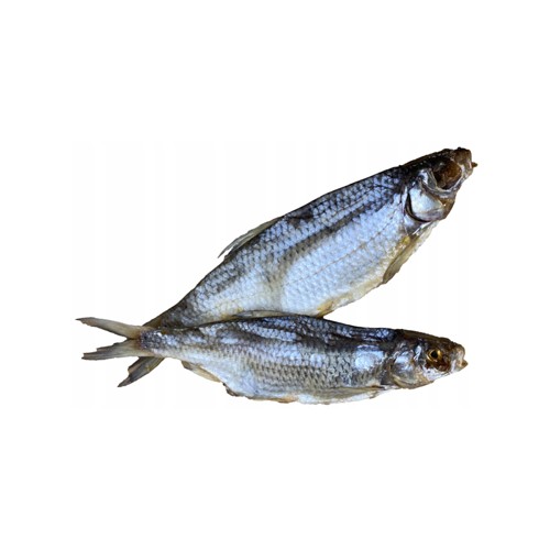 Chcesz piwo